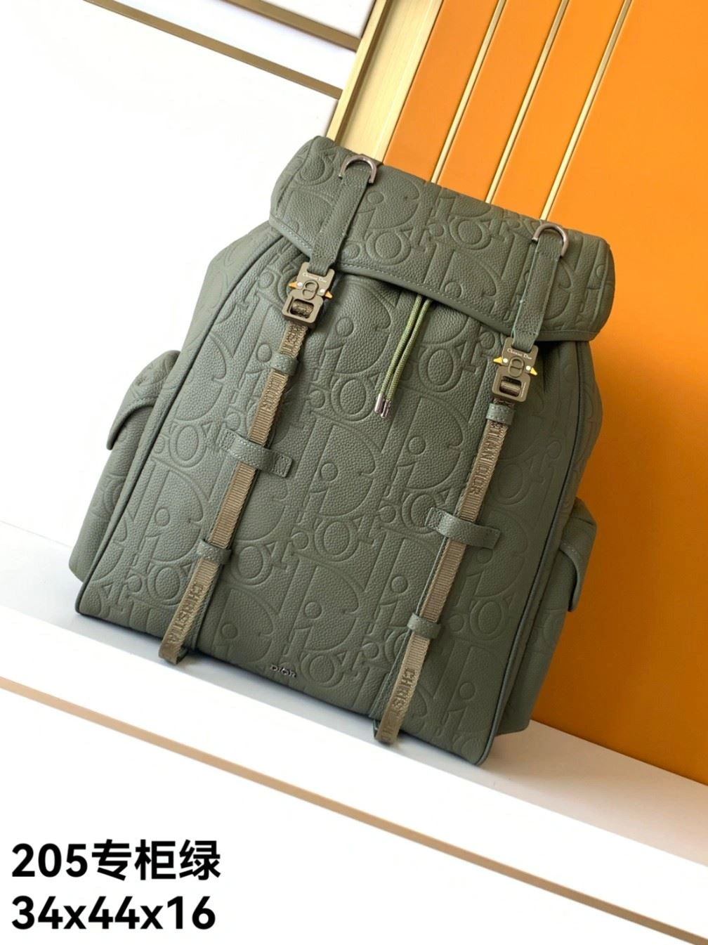 Mens Christian Dior Backpacks