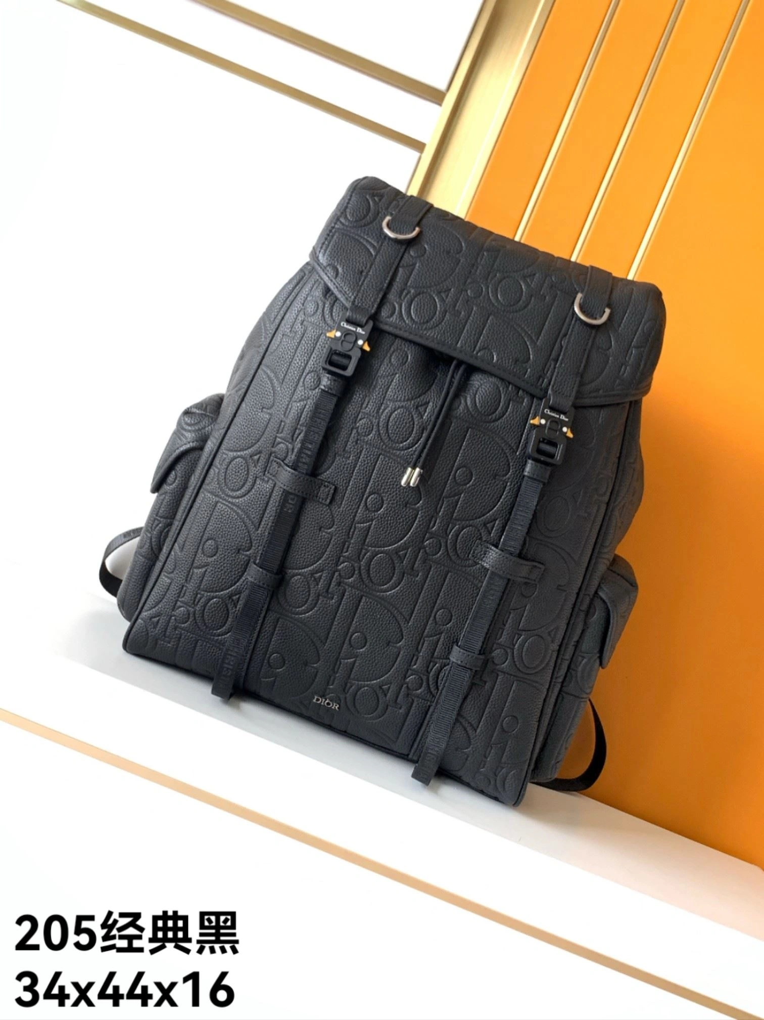 Mens Christian Dior Backpacks