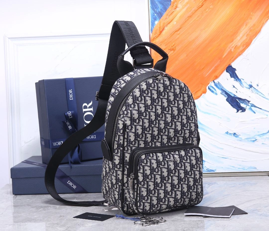High accuracy Mens Christian Dior Backpacks