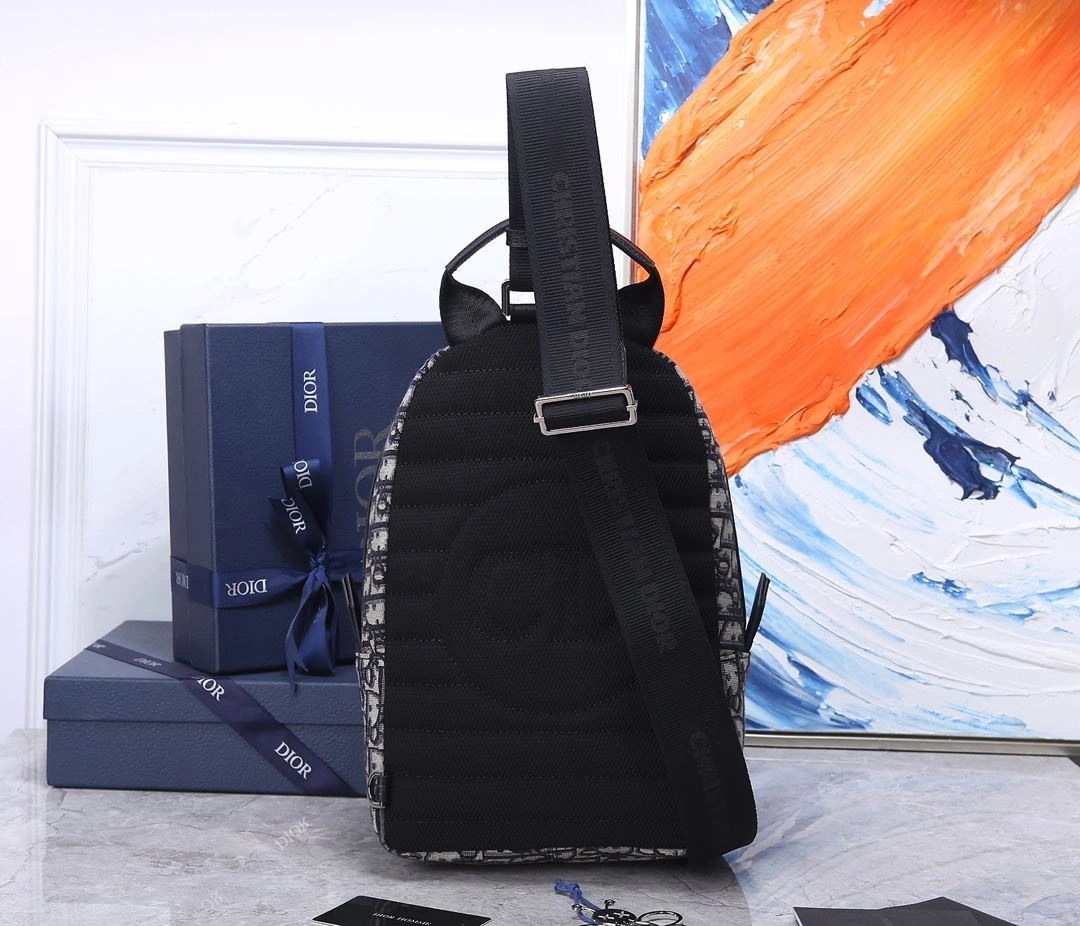 High accuracy Mens Christian Dior Backpacks