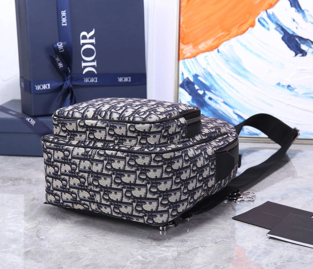 High accuracy Mens Christian Dior Backpacks