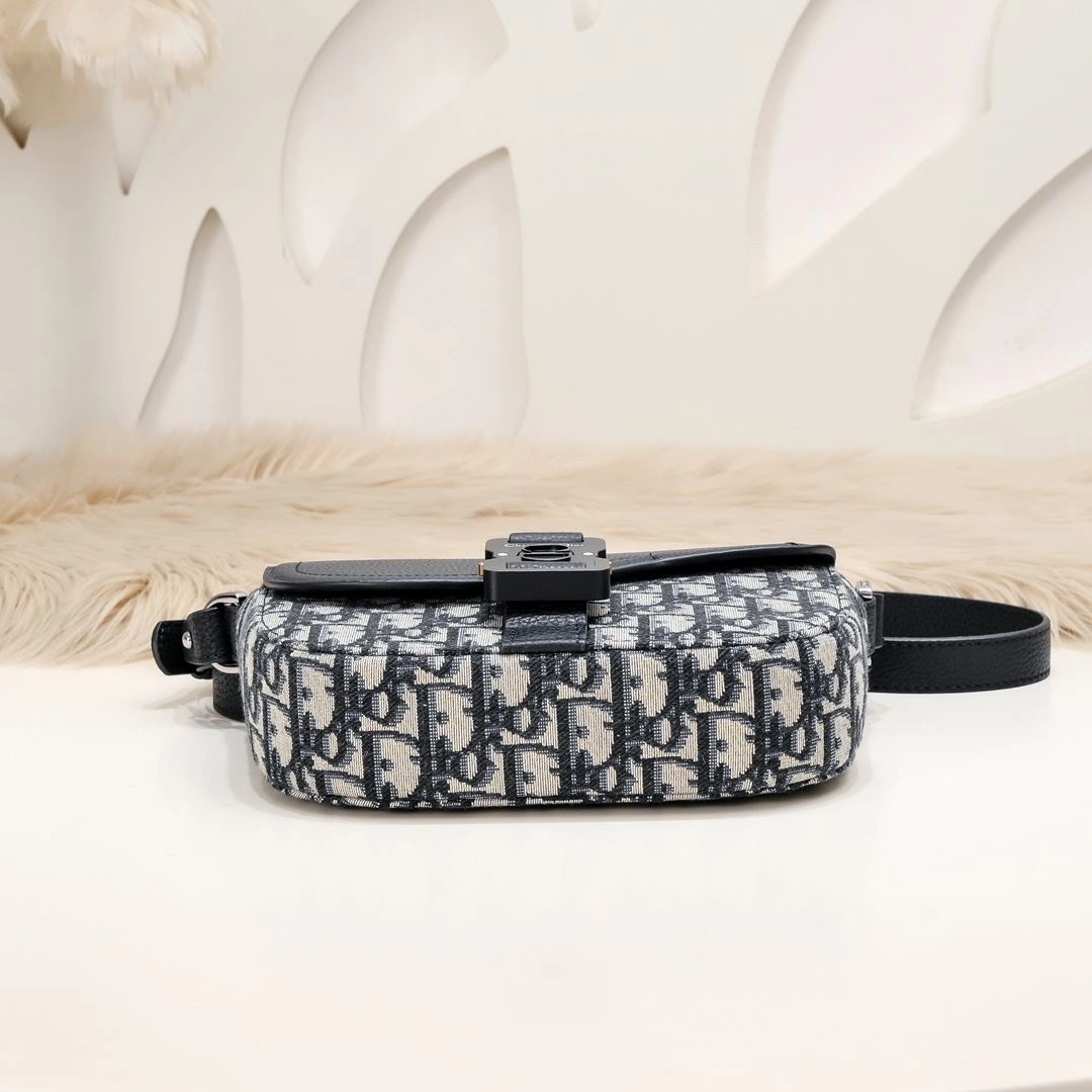 Accurate model Mens Christian Dior Satchel Bags