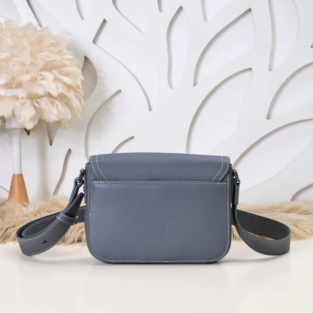 Reasonably priced Mens Christian Dior Satchel Bags