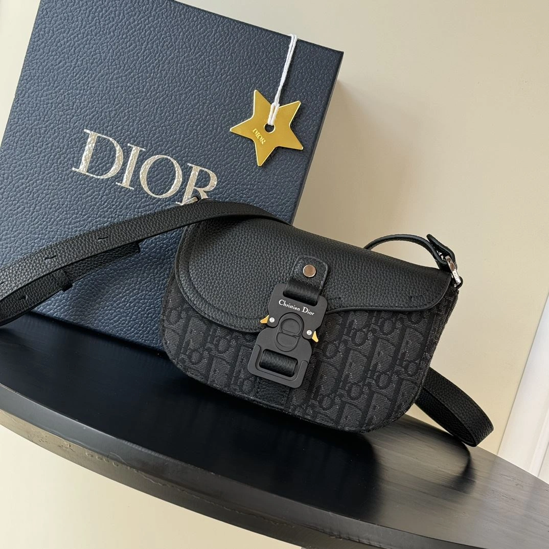Mens Christian Dior Satchel Bags