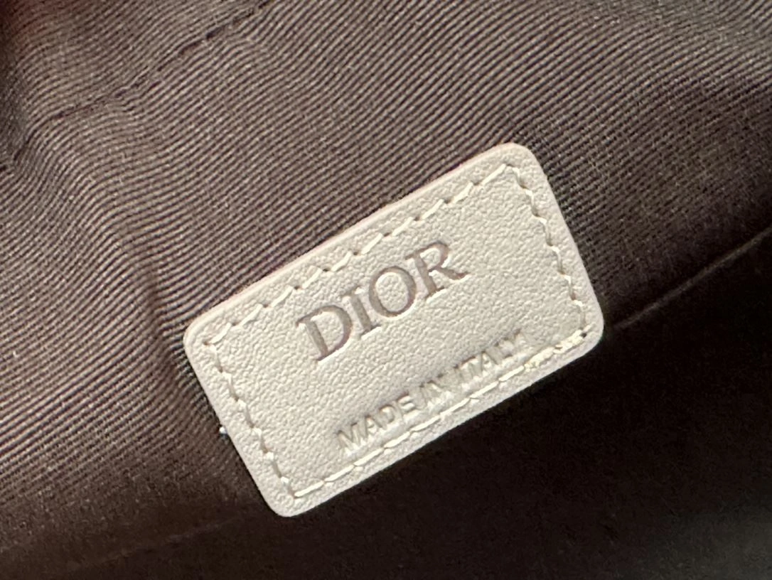 Accurate model Mens Christian Dior Satchel Bags