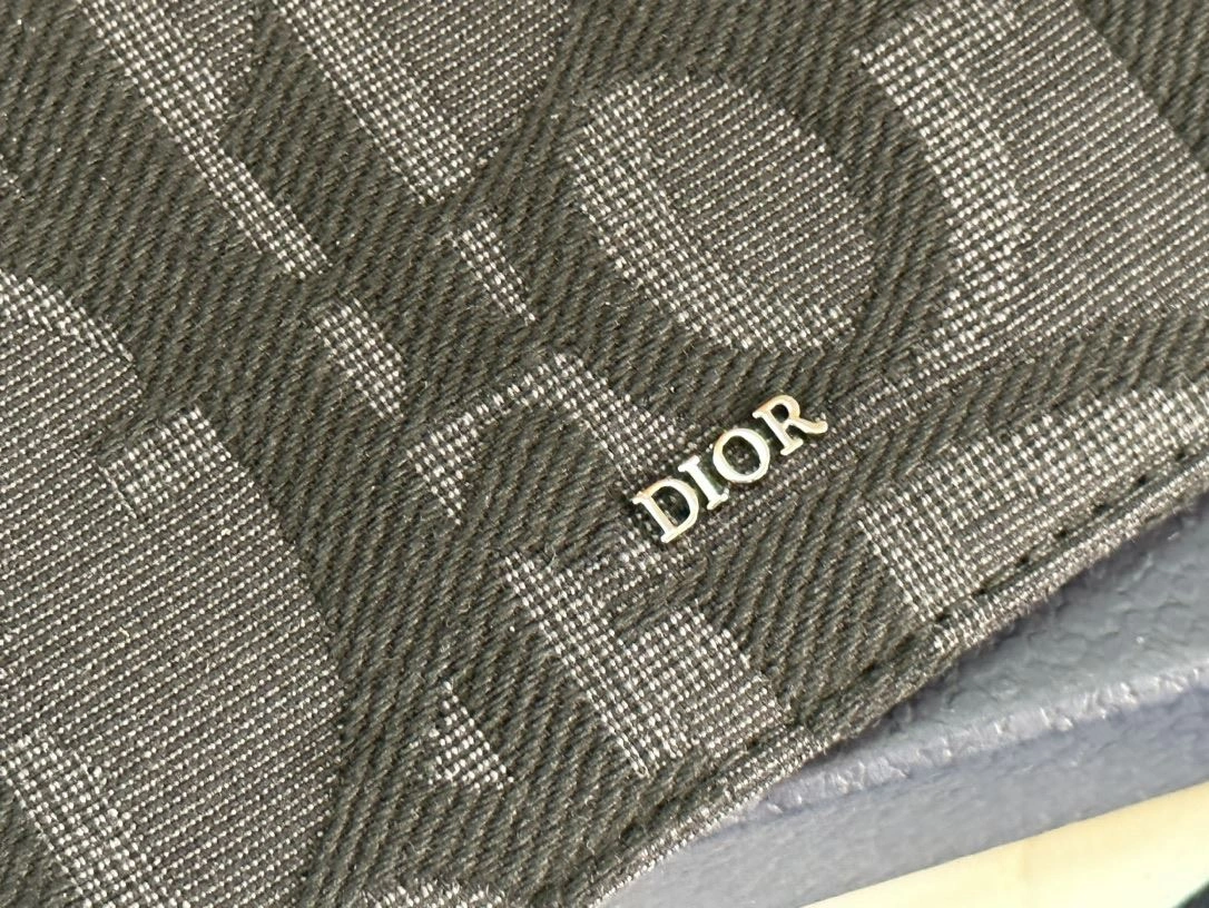 Accurate model Mens Christian Dior Satchel Bags