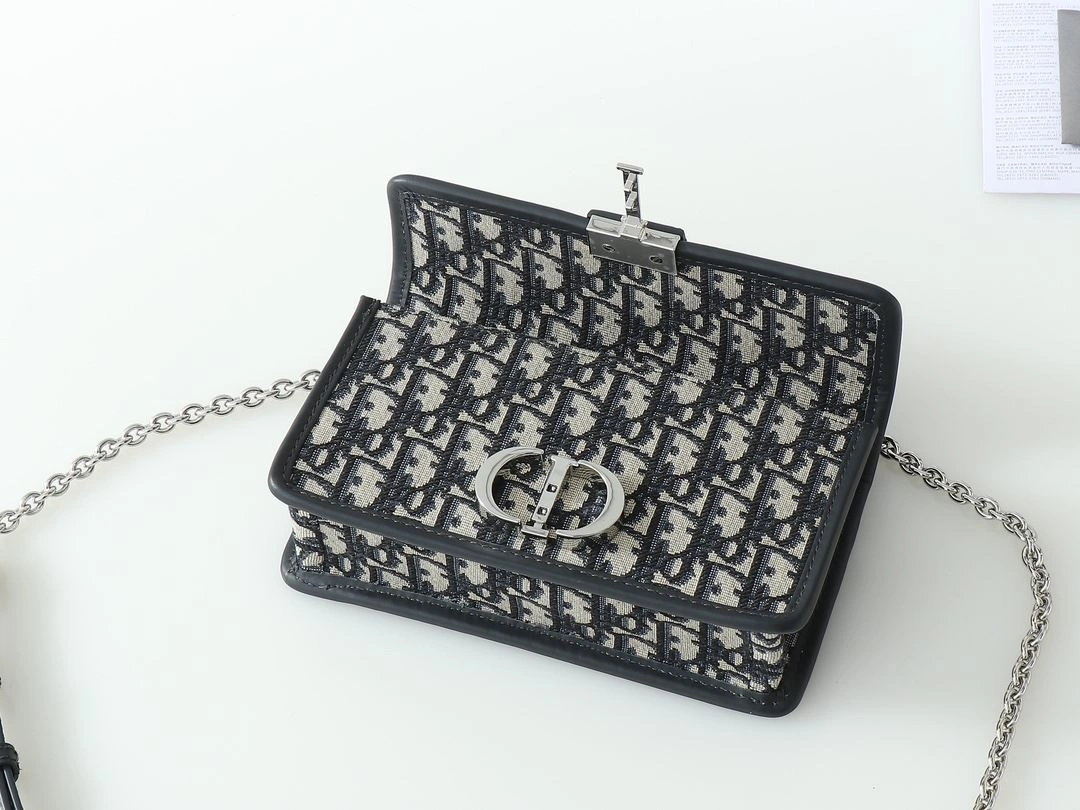 Brand-authenticated Mens Christian Dior Satchel Bags