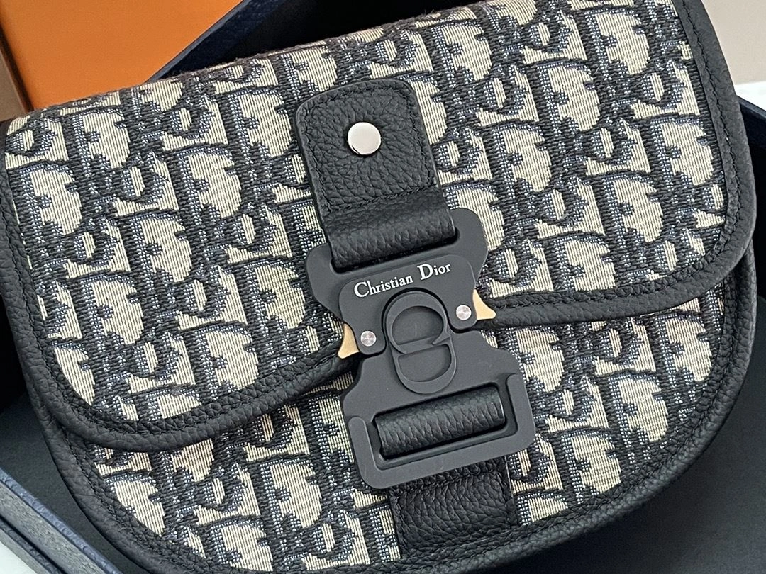 Budget-friendly Mens Christian Dior Satchel Bags
