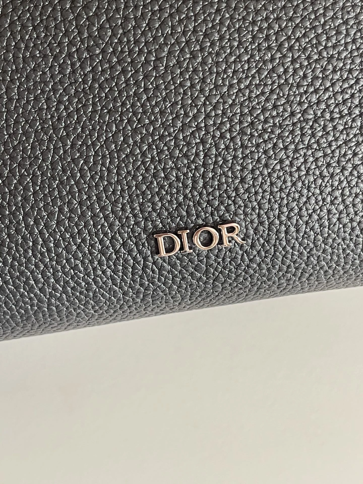 Accurate model Mens Christian Dior Satchel Bags