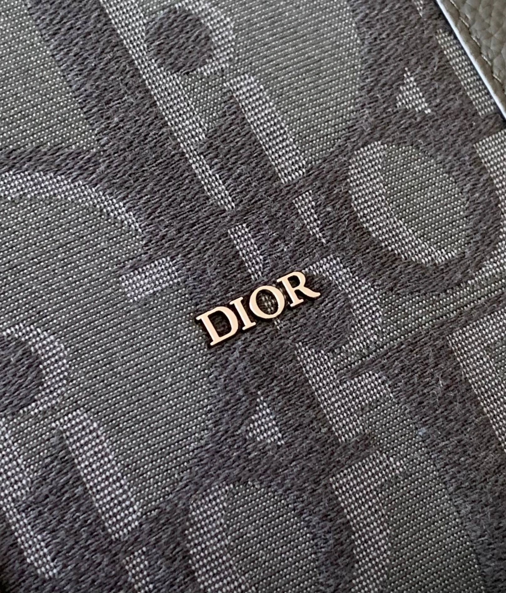 Accurate model Mens Christian Dior Satchel Bags