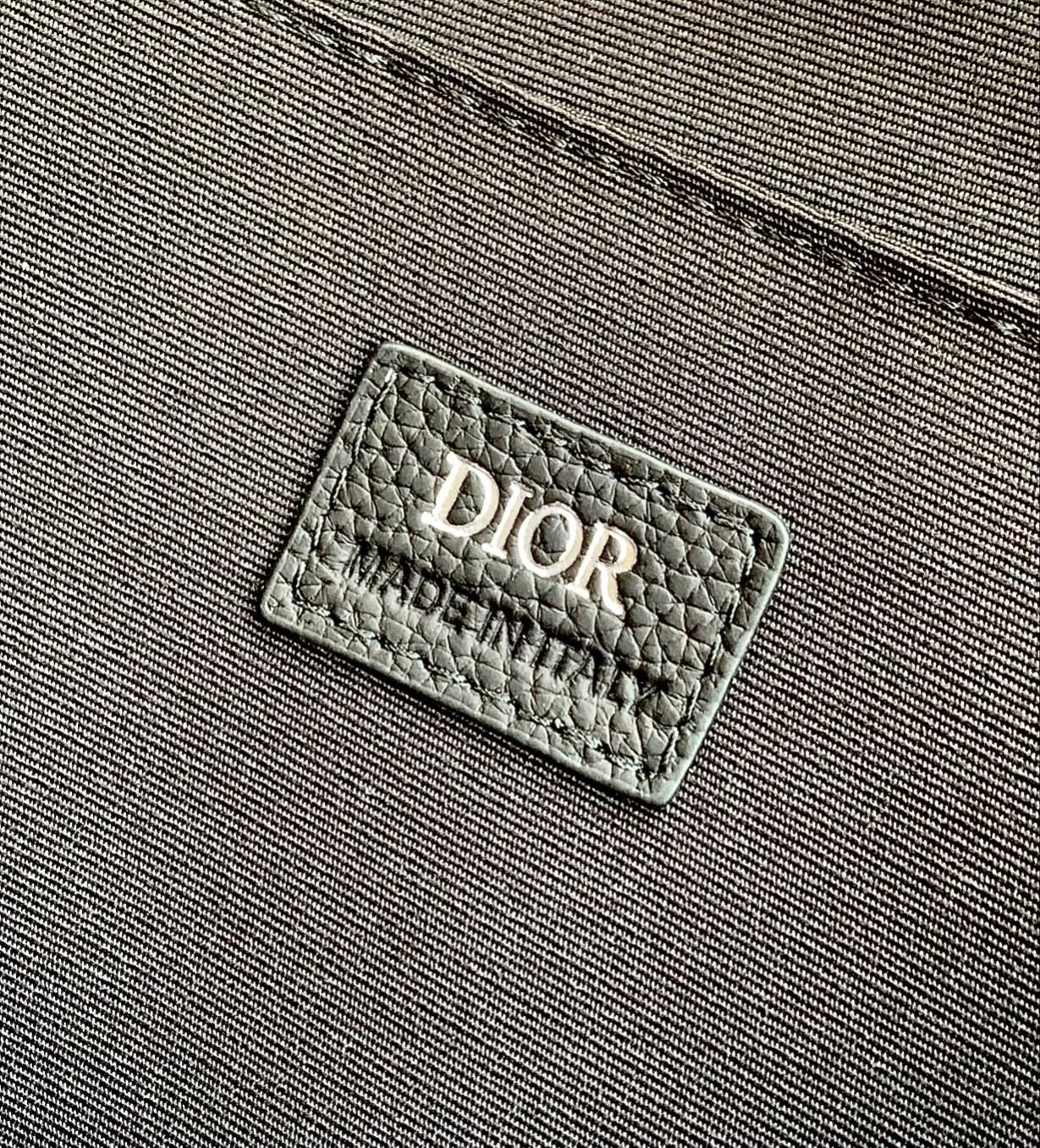 Accurate model Mens Christian Dior Satchel Bags