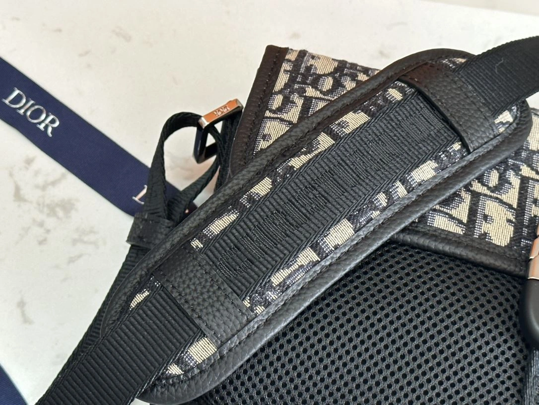 Accurate model Mens Christian Dior Satchel Bags