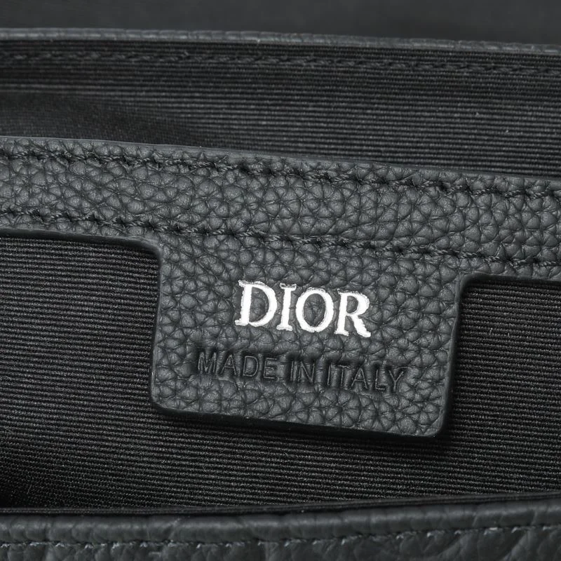 Accurate model Mens Christian Dior Satchel Bags