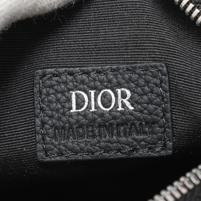 Accurate model Mens Christian Dior Satchel Bags