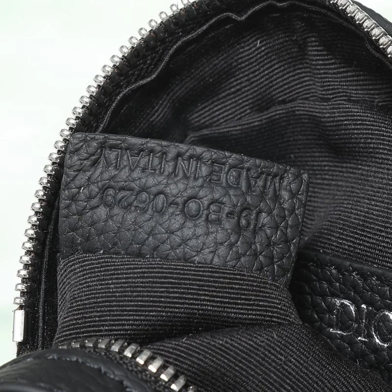 Accurate model Mens Christian Dior Satchel Bags