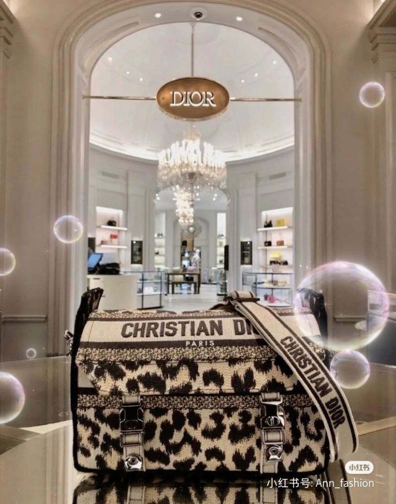 Mens Christian Dior Satchel bags