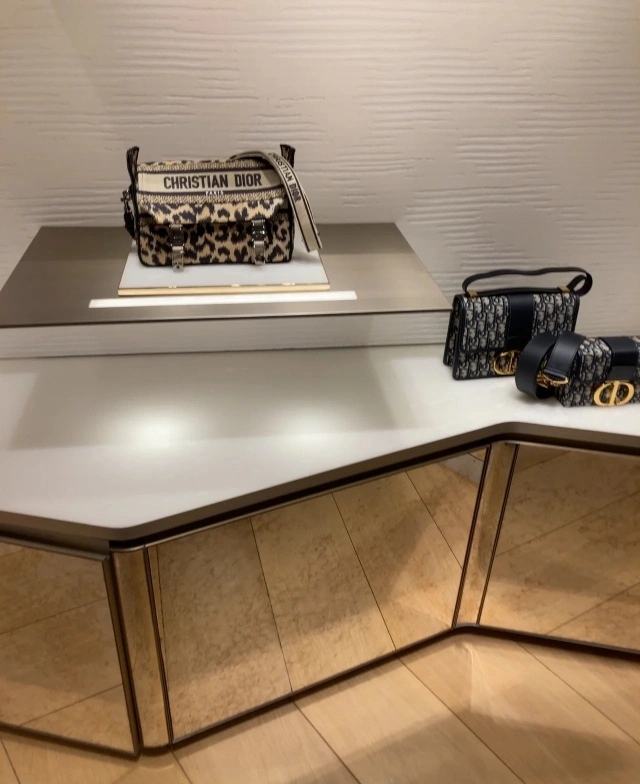 Economical Mens Christian Dior Satchel bags