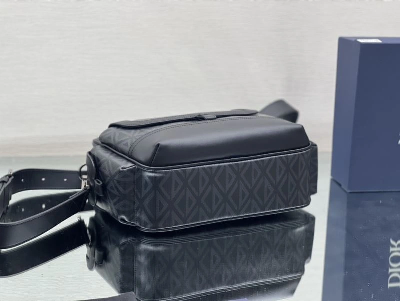 Official Mens Christian Dior Satchel bags