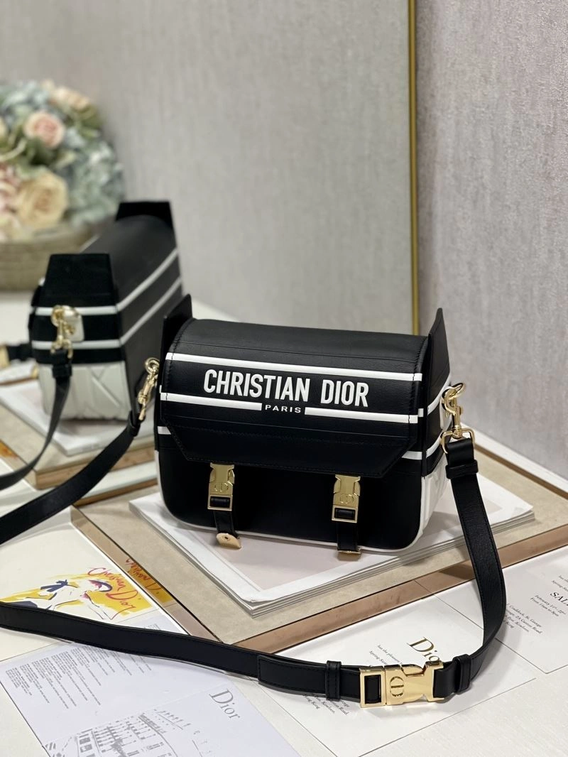 Accurate model Mens Christian Dior Satchel bags