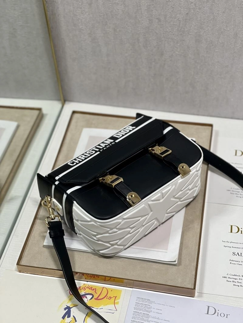 Accurate model Mens Christian Dior Satchel bags