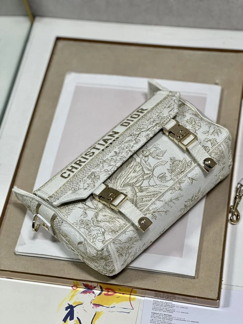 Accurate model Mens Christian Dior Satchel bags