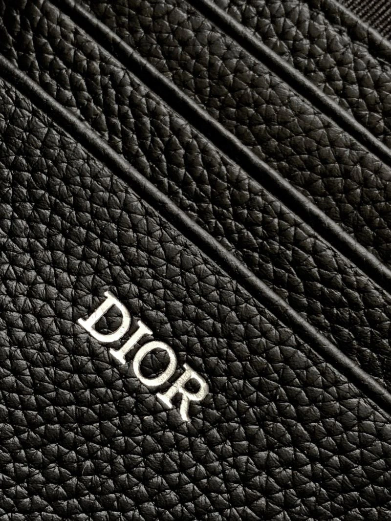 Accurate model Mens Christian Dior Satchel bags