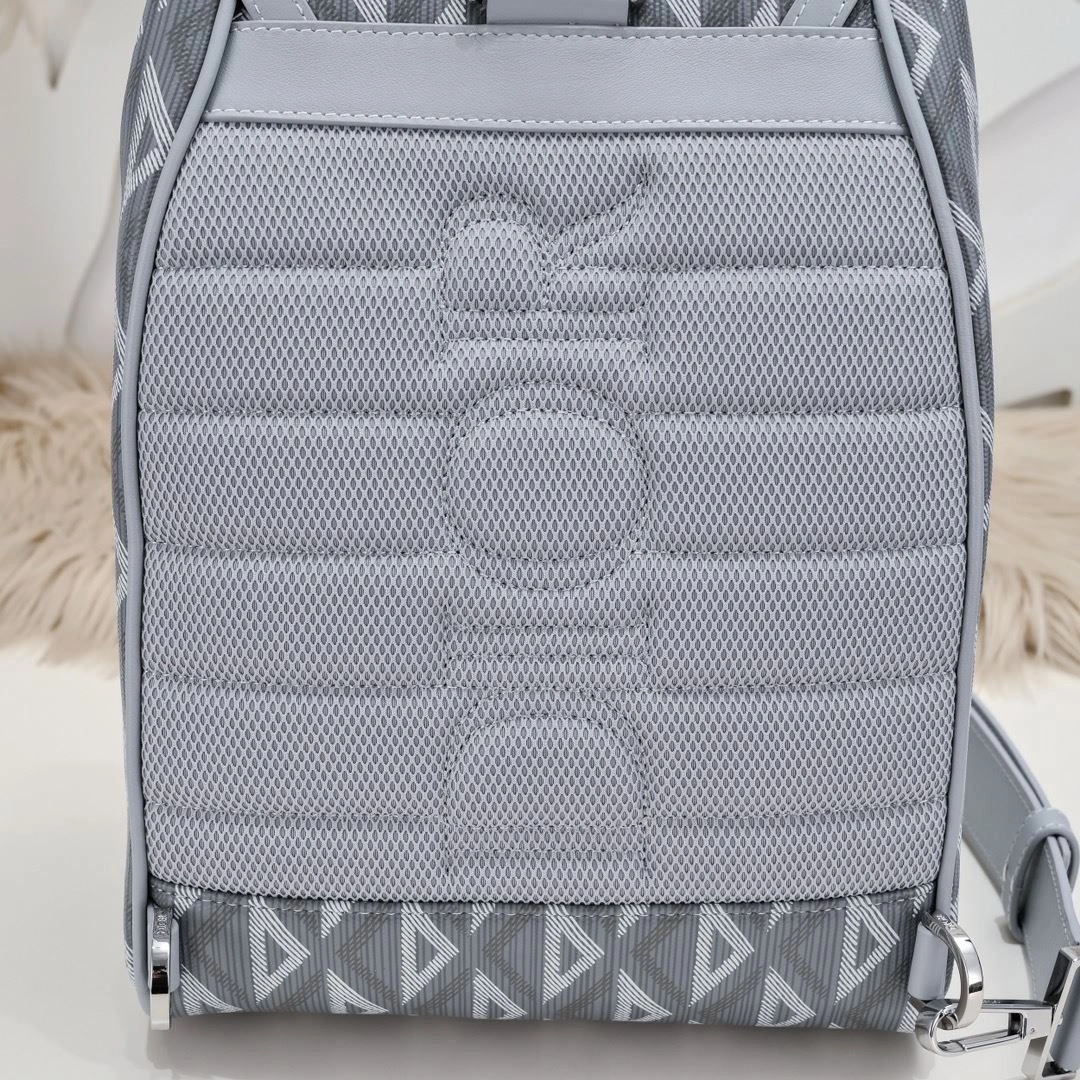 Official Mens Christian Dior Waist Chest Packs