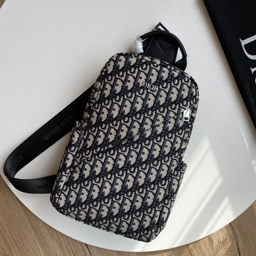 Indistinguishable Mens Christian Dior Waist Chest Packs