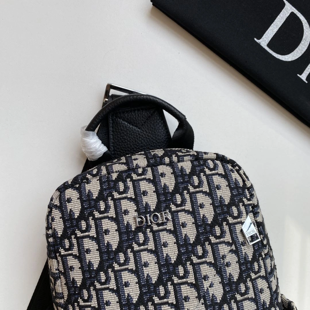 Indistinguishable Mens Christian Dior Waist Chest Packs