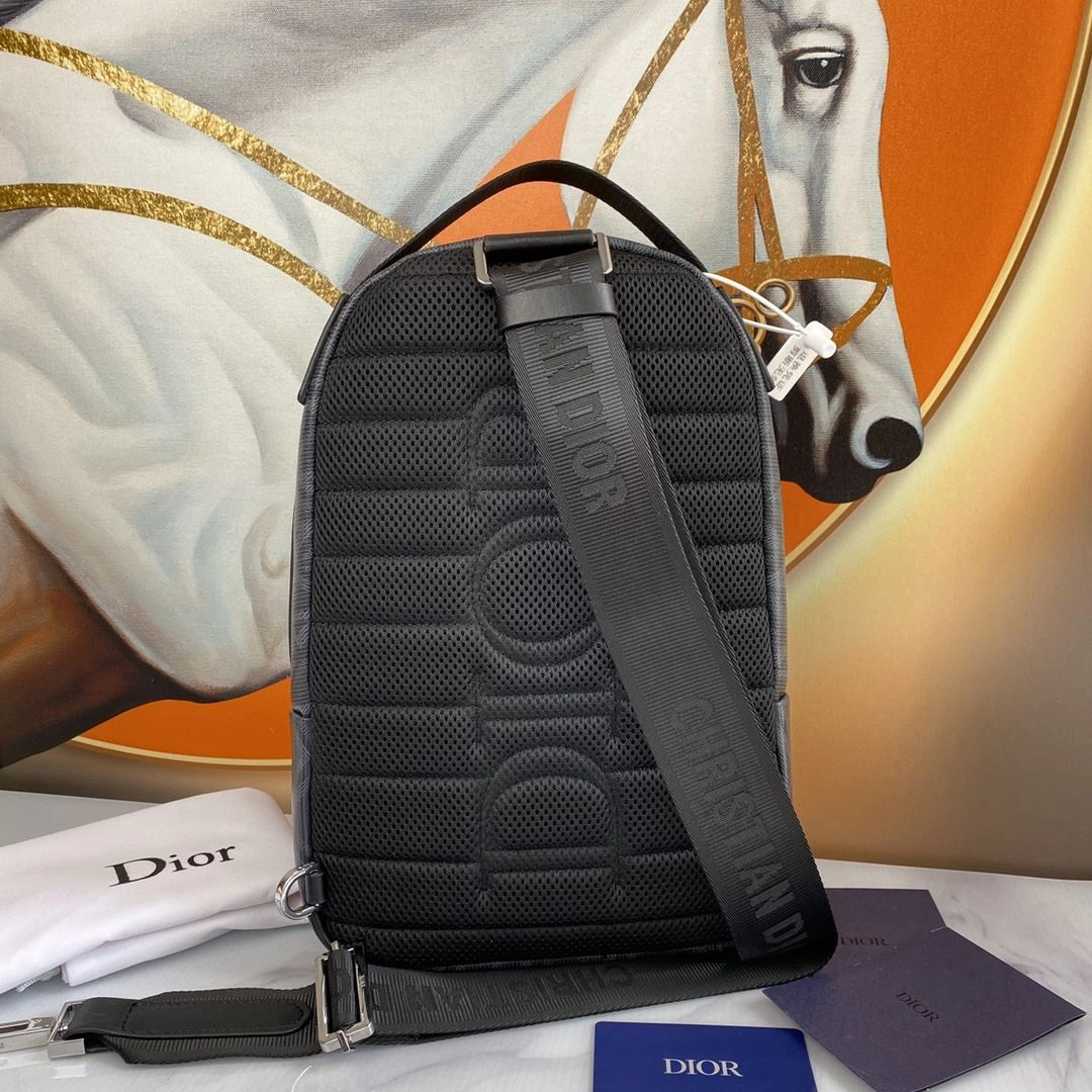 Legit Mens Christian Dior Waist Chest Packs
