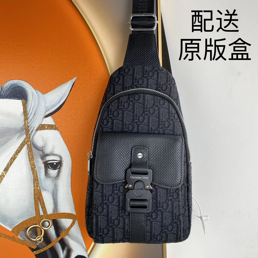 Mens Christian Dior Waist Chest Packs