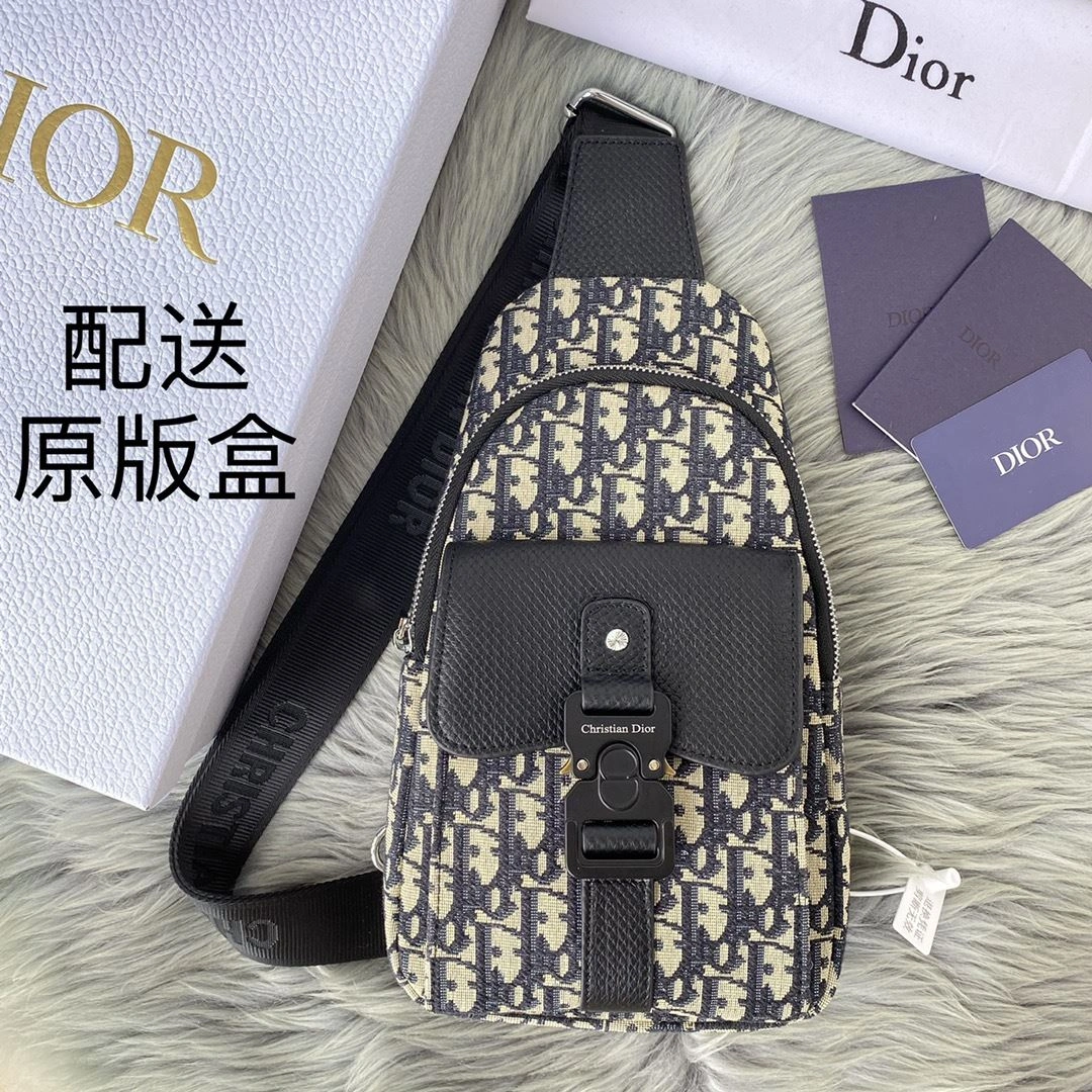 Mens Christian Dior Waist Chest Packs