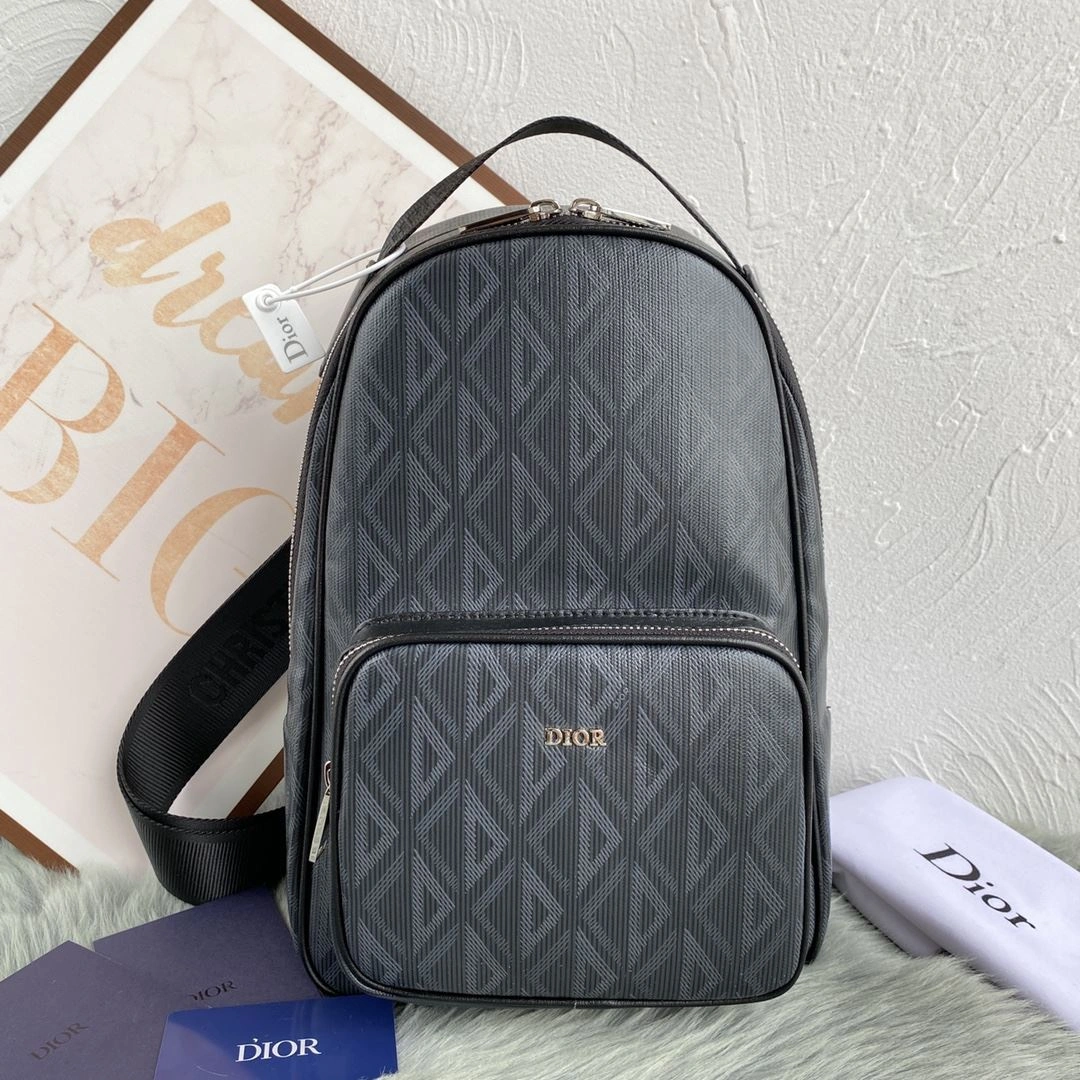 Mens Christian Dior Waist Chest Packs