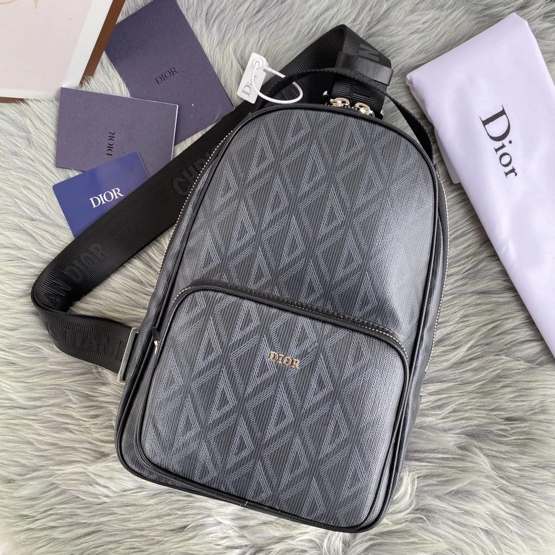 Accurate model Mens Christian Dior Waist Chest Packs