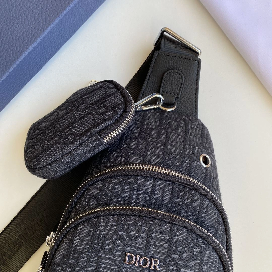 Indistinguishable Mens Christian Dior Waist Chest Packs
