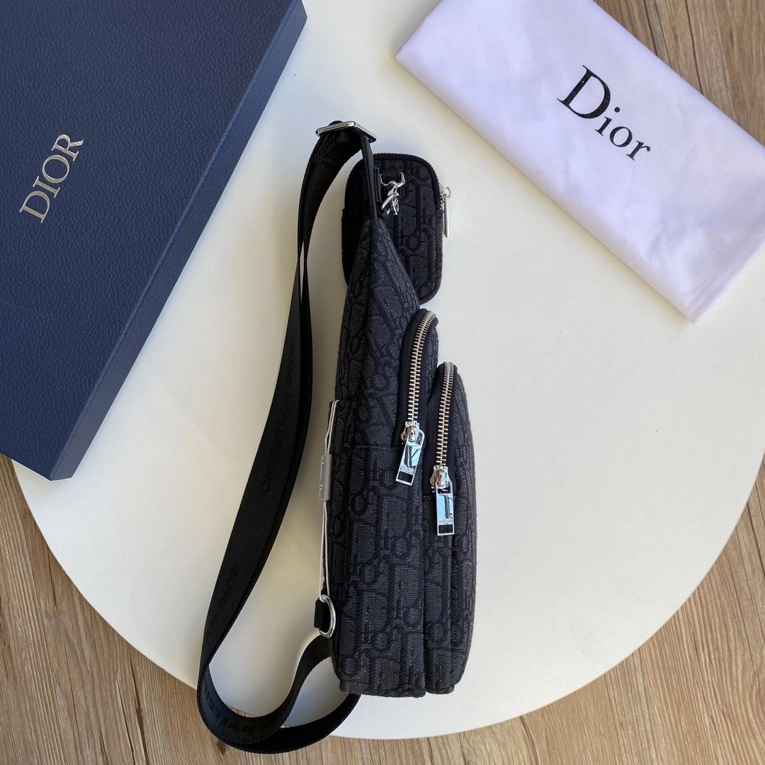 Indistinguishable Mens Christian Dior Waist Chest Packs