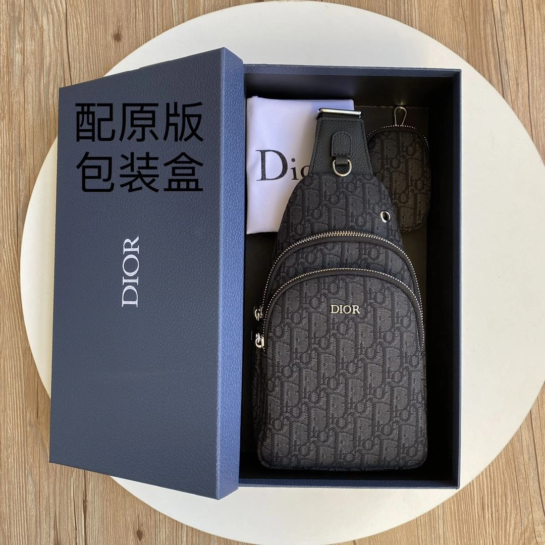Indistinguishable Mens Christian Dior Waist Chest Packs