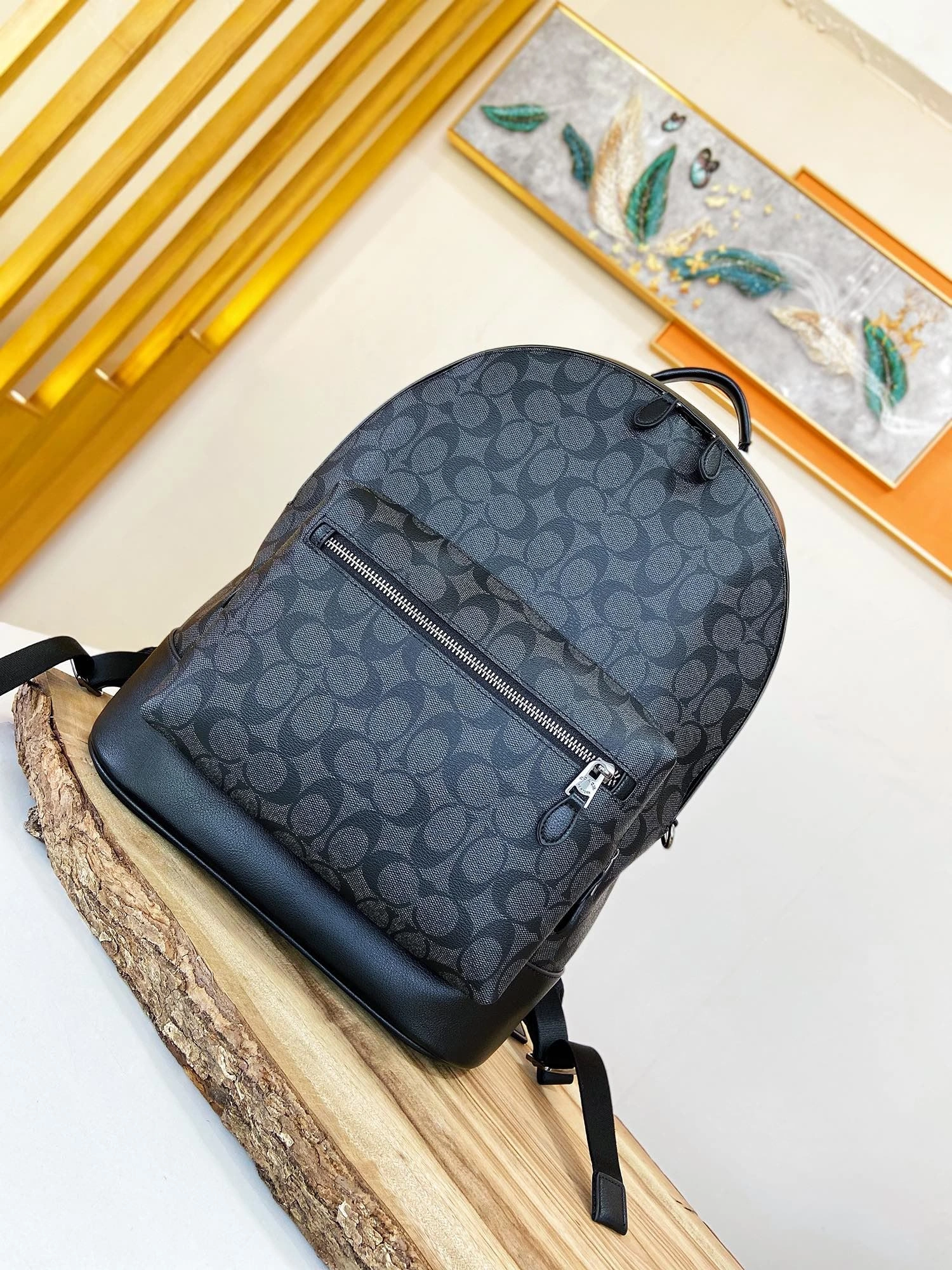 Mens Coach Backpacks