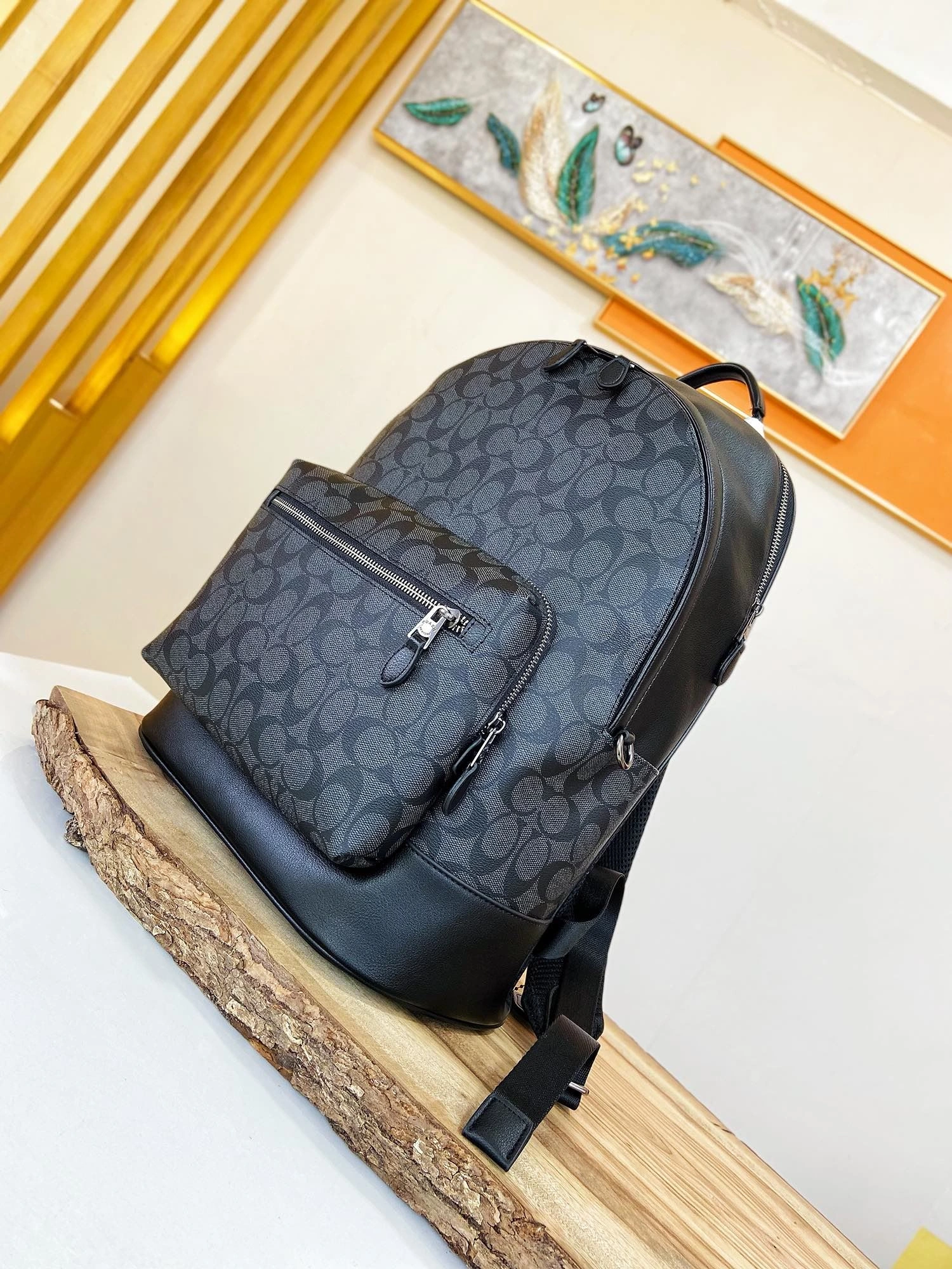 OEM Mens Coach Backpacks