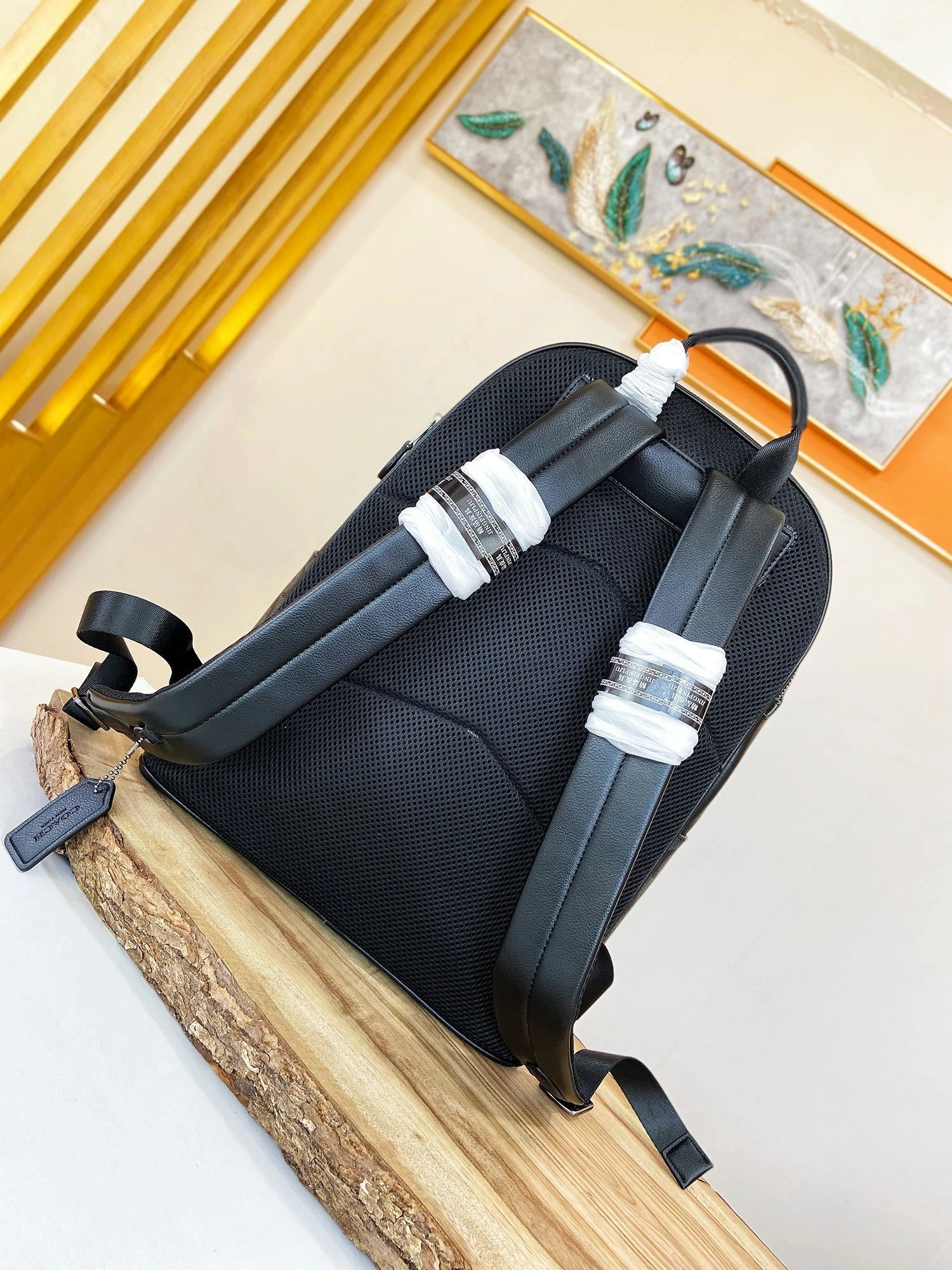OEM Mens Coach Backpacks