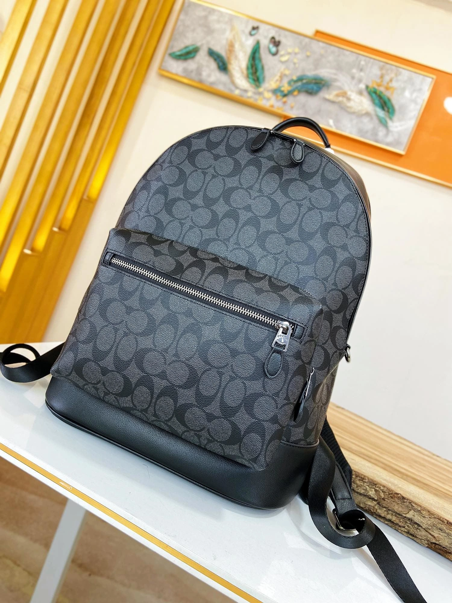 OEM Mens Coach Backpacks