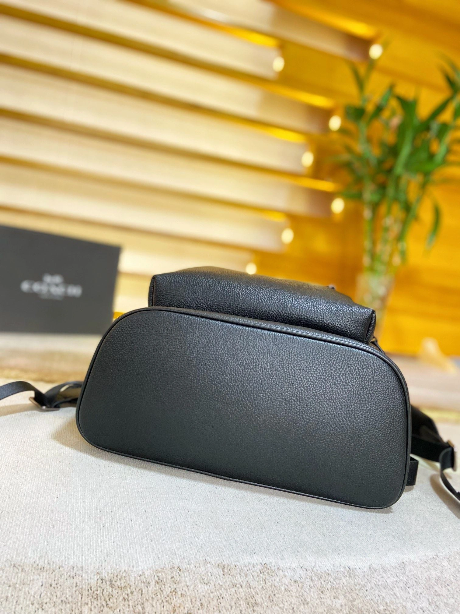 Factory-made Mens Coach Backpacks