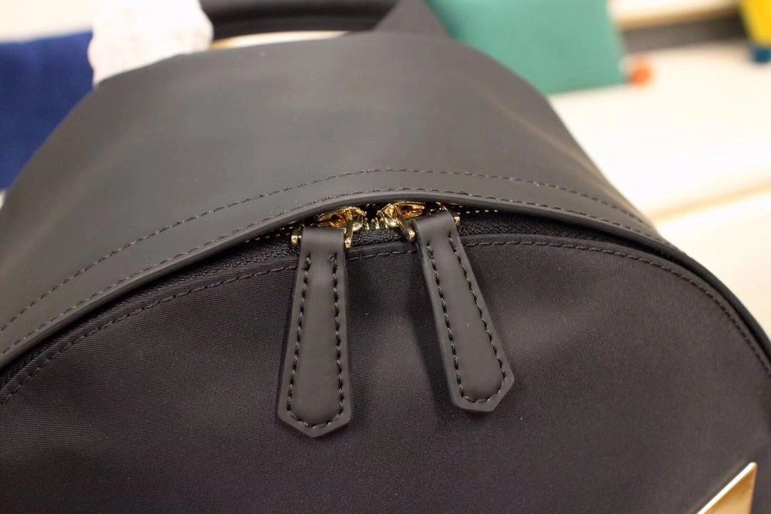 Indistinguishable Mens Fendi Backpacks