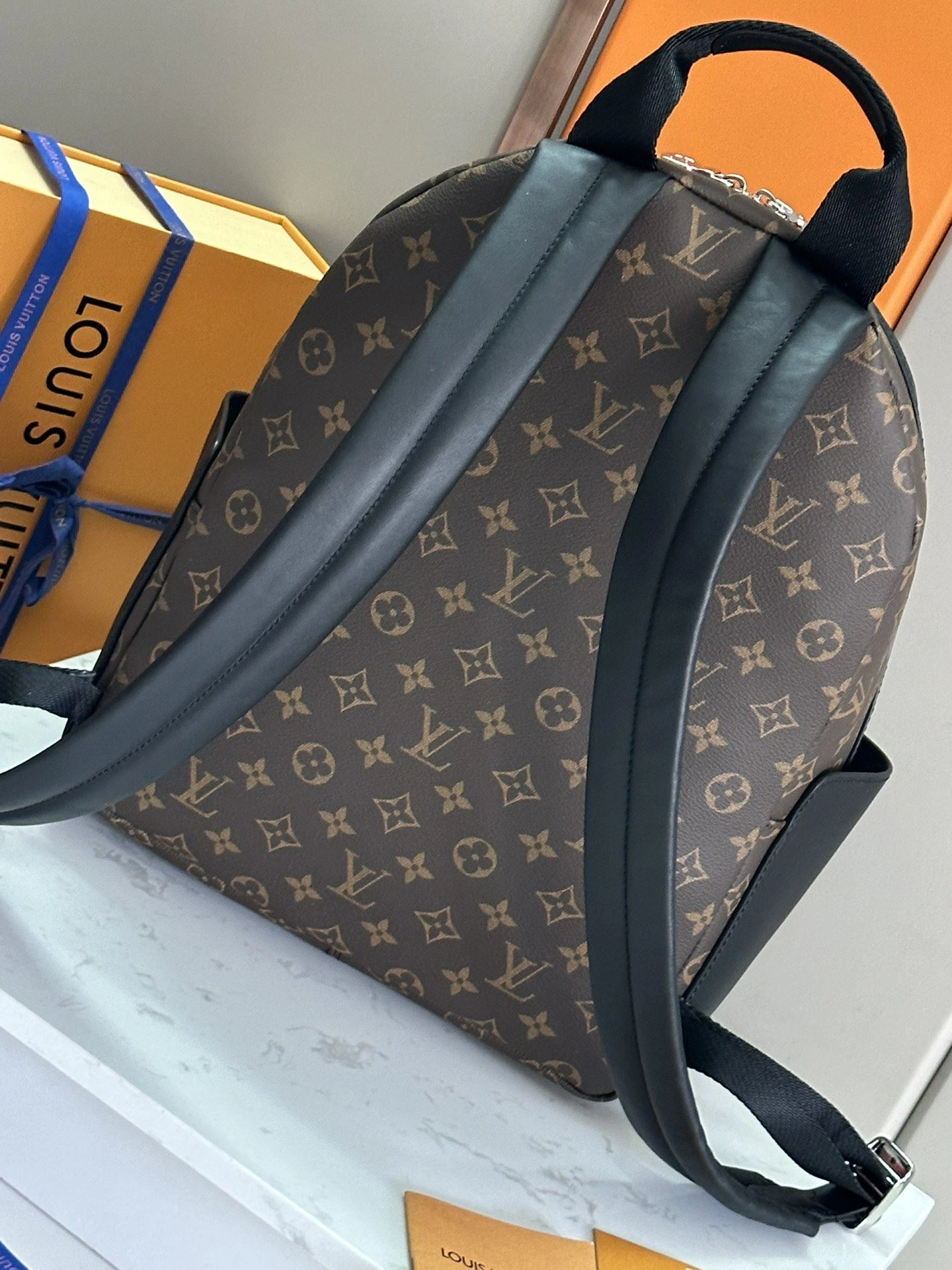 Mirror quality Mens Louis Vuitton Backpacks