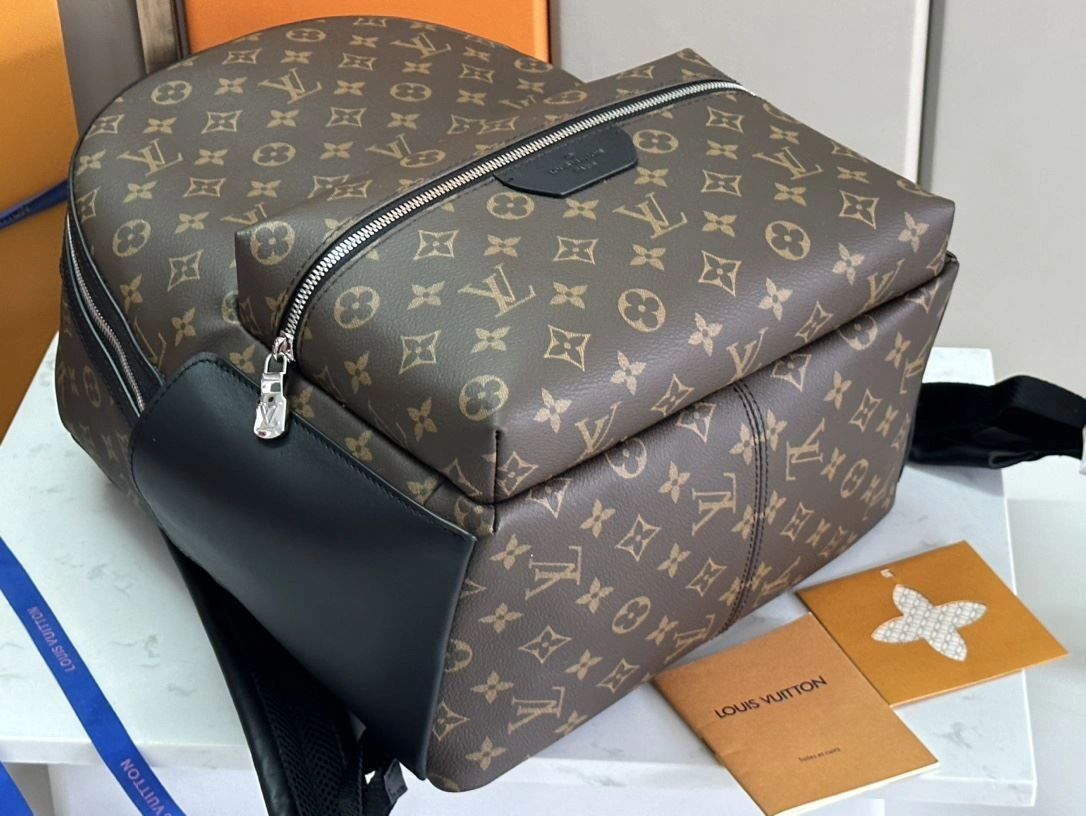 Mirror quality Mens Louis Vuitton Backpacks