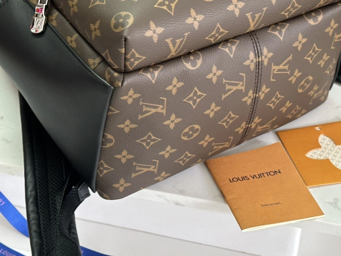 Mirror quality Mens Louis Vuitton Backpacks