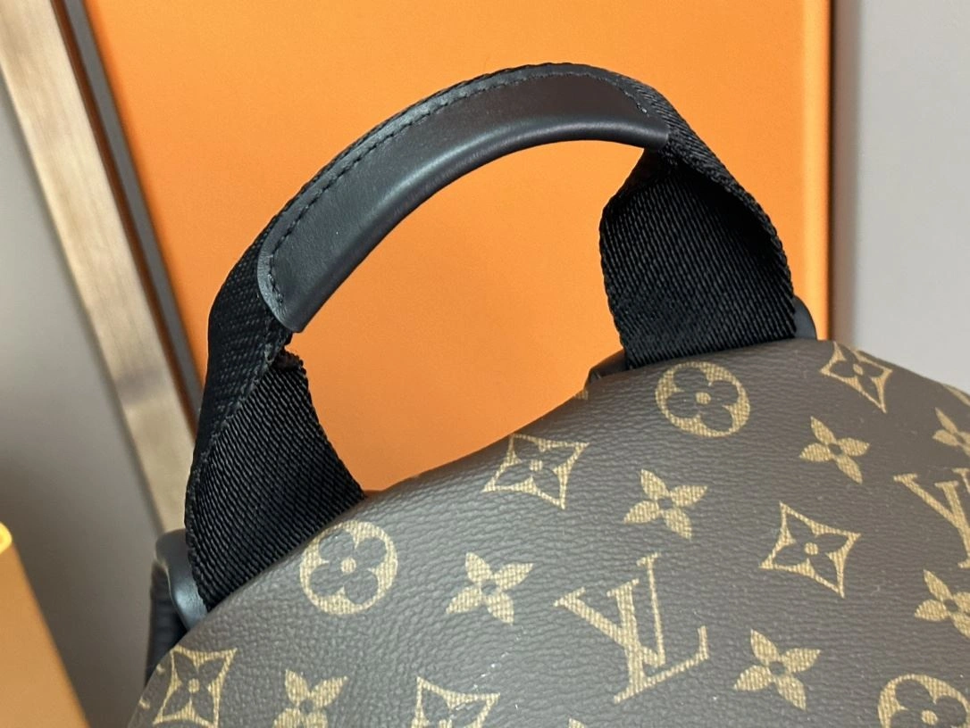 Mirror quality Mens Louis Vuitton Backpacks