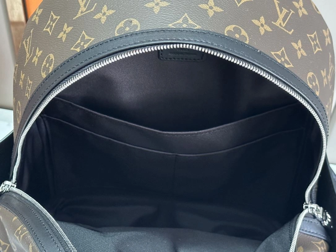 Mirror quality Mens Louis Vuitton Backpacks