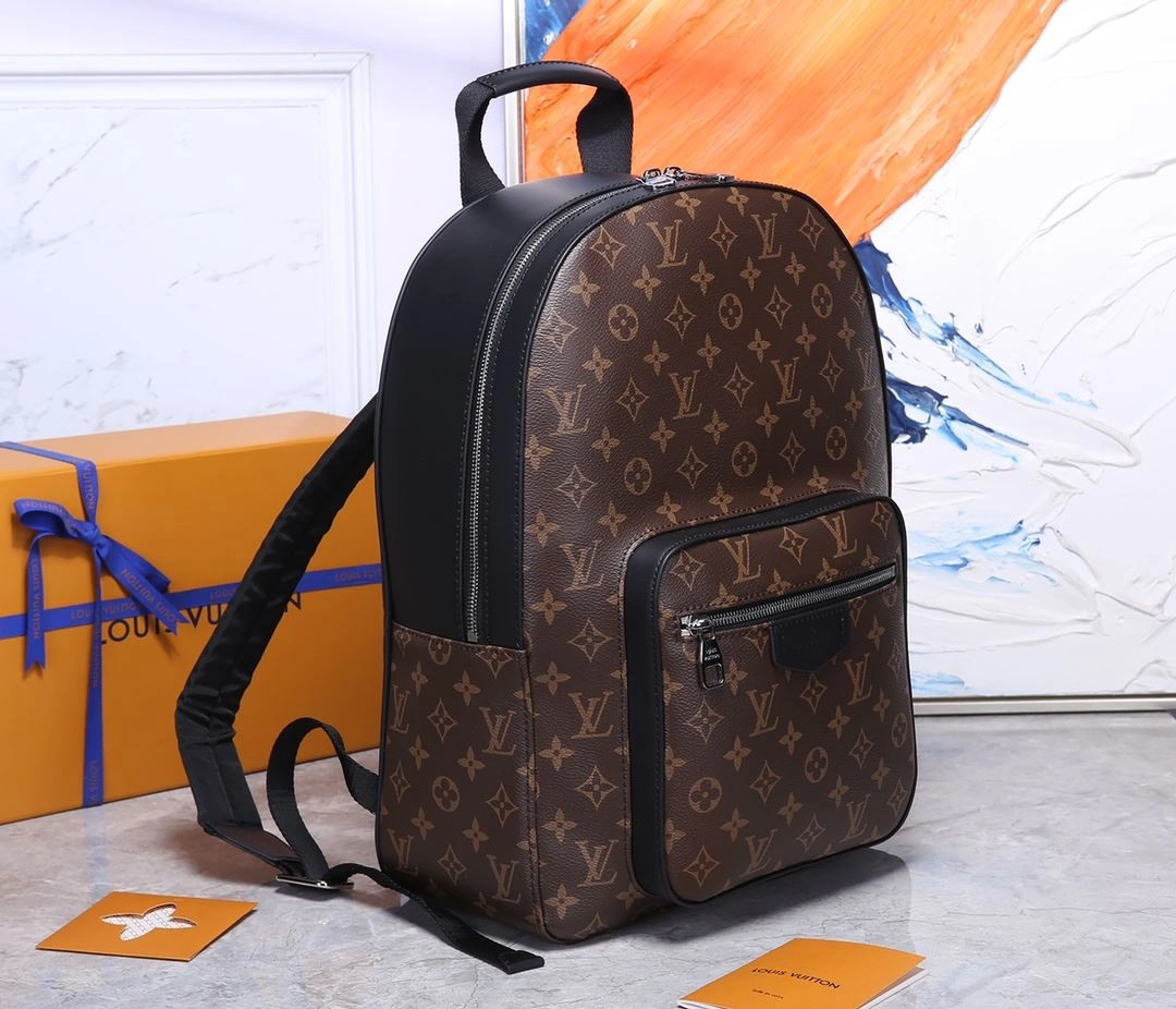 High accuracy Mens Louis Vuitton Backpacks