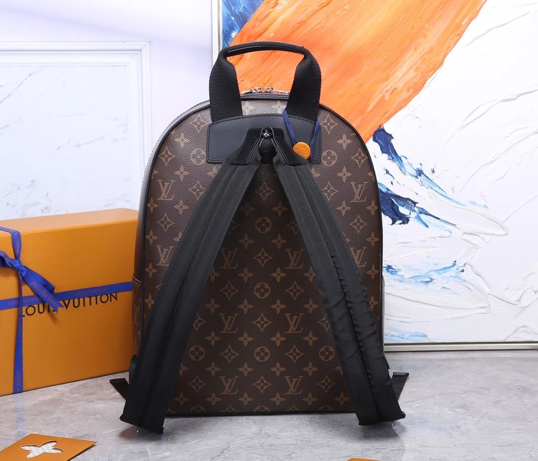 High accuracy Mens Louis Vuitton Backpacks